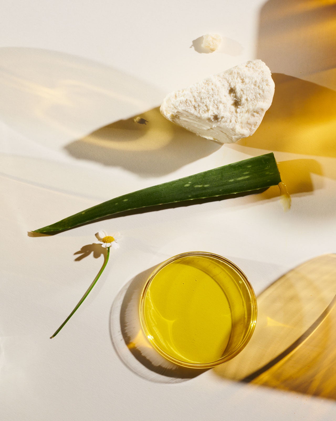 LUI | A New Razor & Body Care Brand To Elevate Shaving
